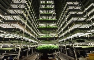 Vertical Farming Conveyor Systems | Ultimation Industries