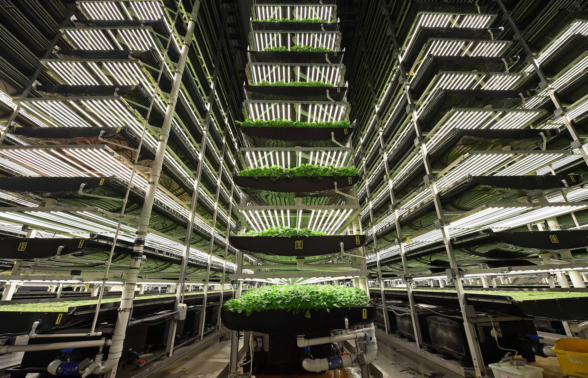 Vertical Farming Conveyor Systems | Ultimation Industries
