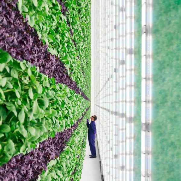 Vertical Farming Conveyor Systems | Ultimation Industries